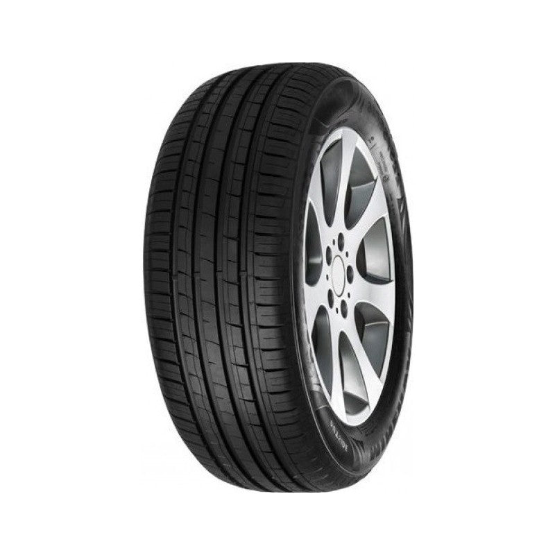MINERVA F209 195/55R15 85H – Neumarket México